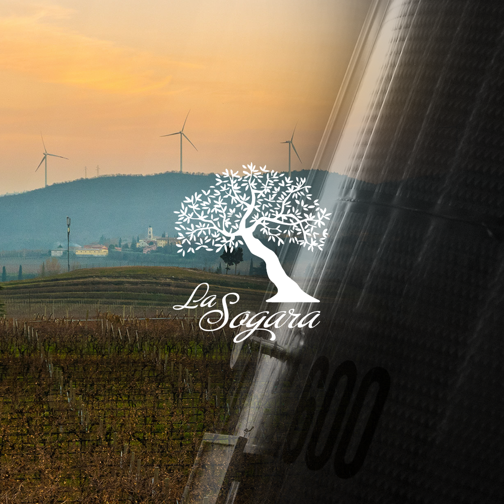 bkg sogara_azienda_3@0,5x - La Sogara